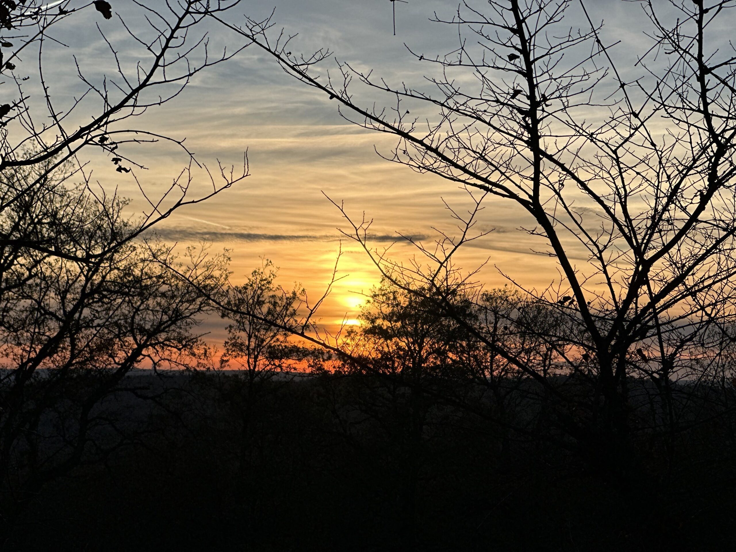 Explorer le Parc Régional des Causses: un trésor caché en France